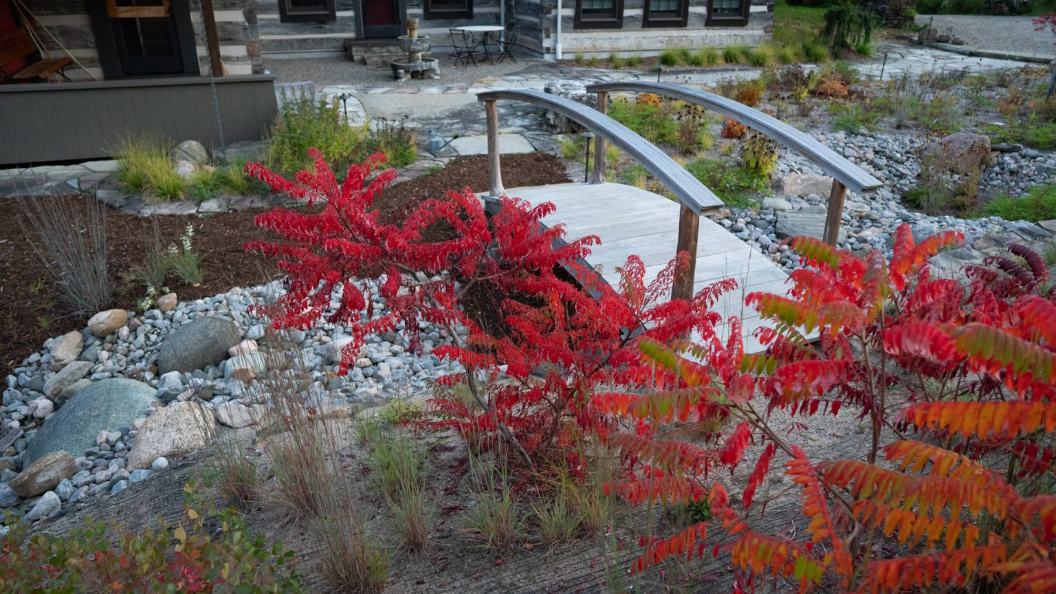 Wildscaping: The Home Edition - The New Perennialist
